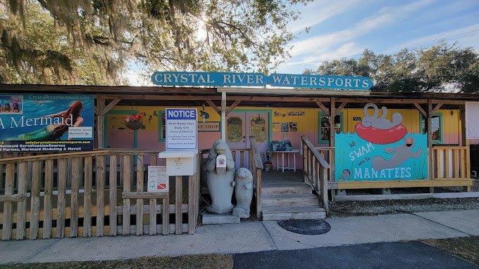 Swim with Crystal River Manatee Tours at Crystal River Water Sports